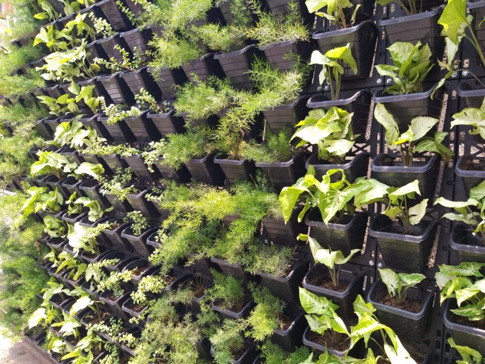 How to Create a Vertical Garden: A Step-by-Step Guide - Stay Home Stay ...